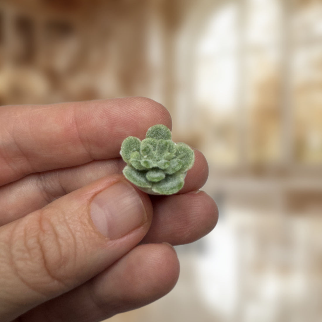 1:12 Scale Miniature Dollhouse Art – Melvin's Miniatures